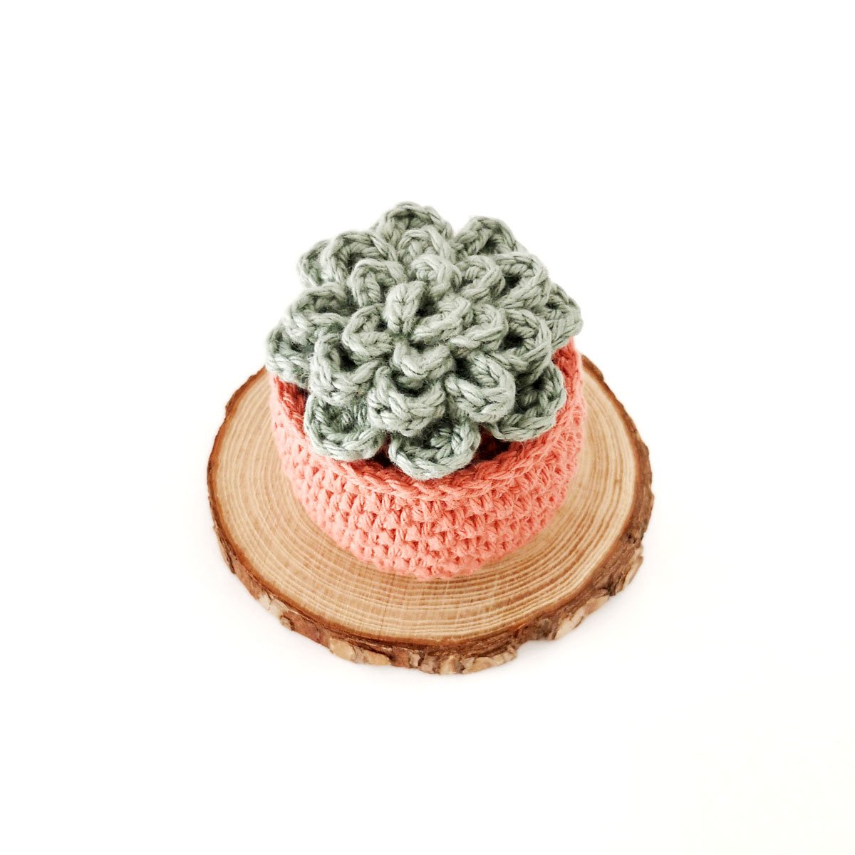 Crochet Succulent Pattern (Free!)