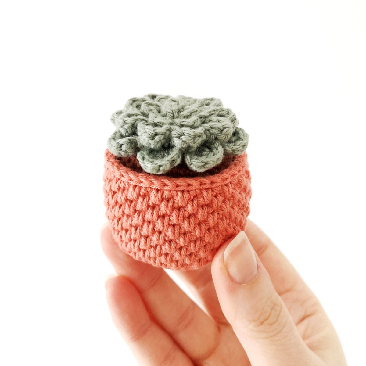 Crochet Succulent Pattern (Free!)